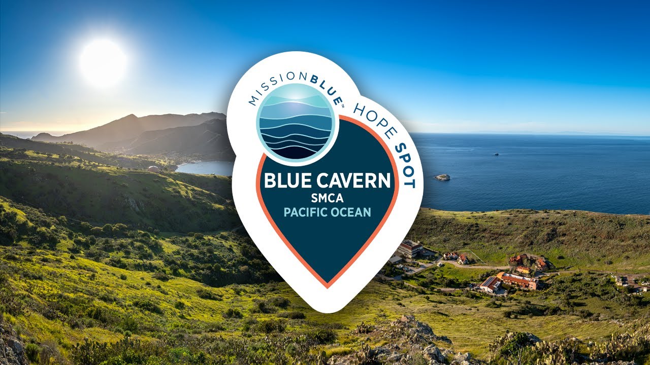 Dr. Sylvia Earle Introduces the Blue Cavern State Marine Area as a Hope ...