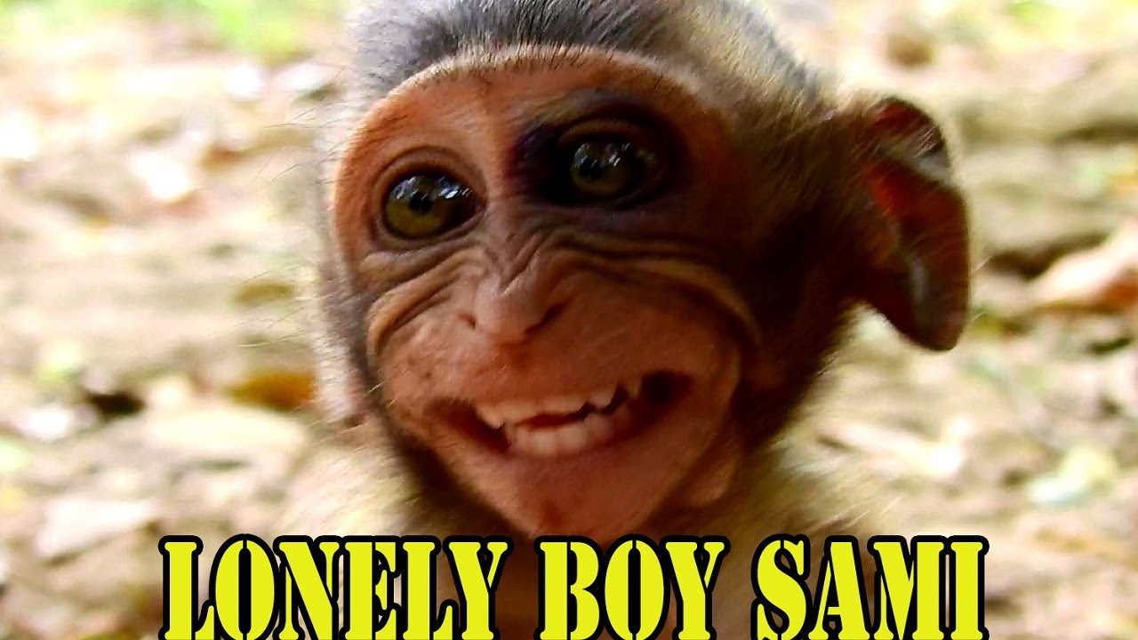 Very Sad And Worry About This Poor Sami Because Of Careless Of His Mom ...