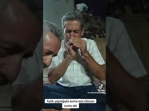 Fıstık yaprağıyla zurna çalan adam