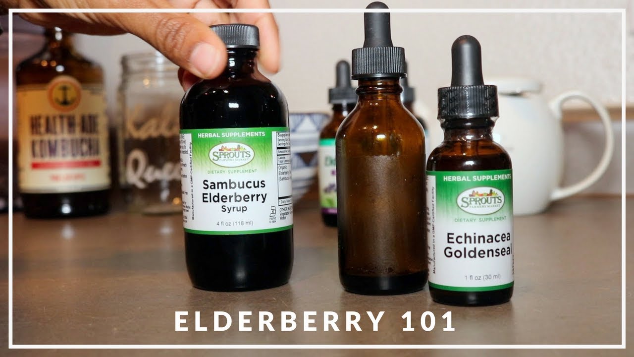 ELDERBERRY 101 | DIY Daily Tonic - YouTube