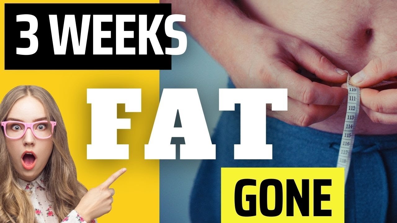 Obesity and Fat Control: The Ultimate Guide to a Healthier Lifestyle ...