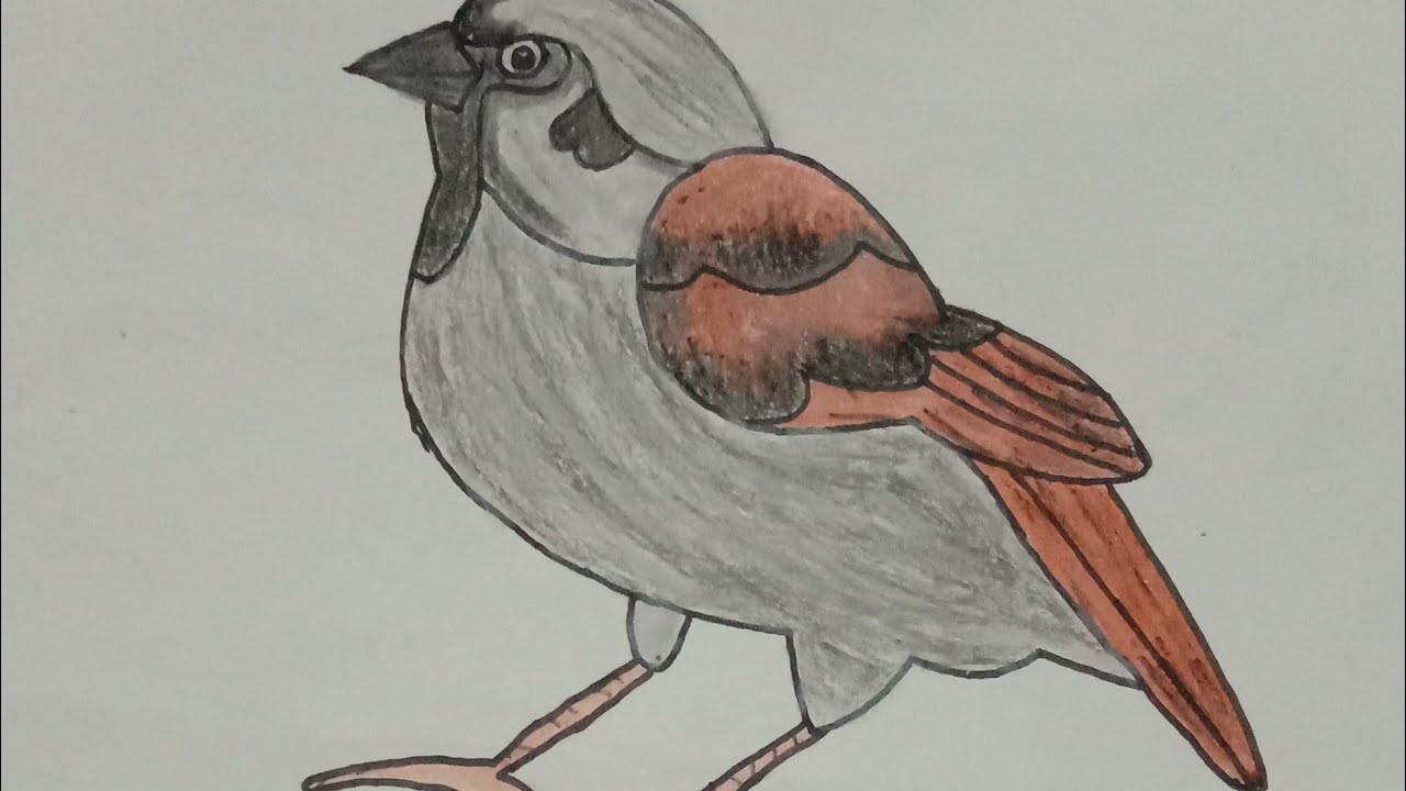sparrow bird drawing easy l sparrow drawing for kids l sparrow drawing ...