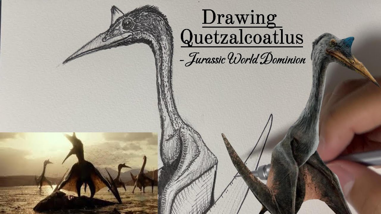 Drawing the Quetzalcoatlus pterosaur - Jurassic World Dominion - YouTube