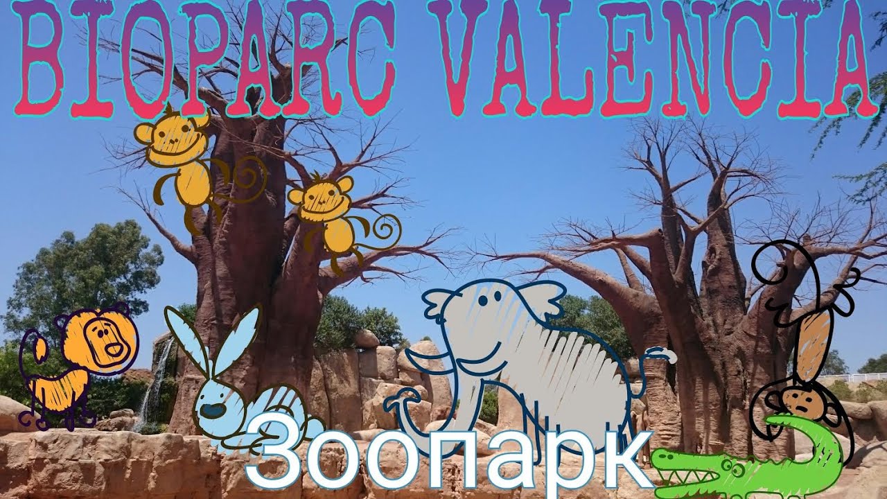 Зоопарк животных и рыбок|BIOPARC VALENCIA Zoo - YouTube