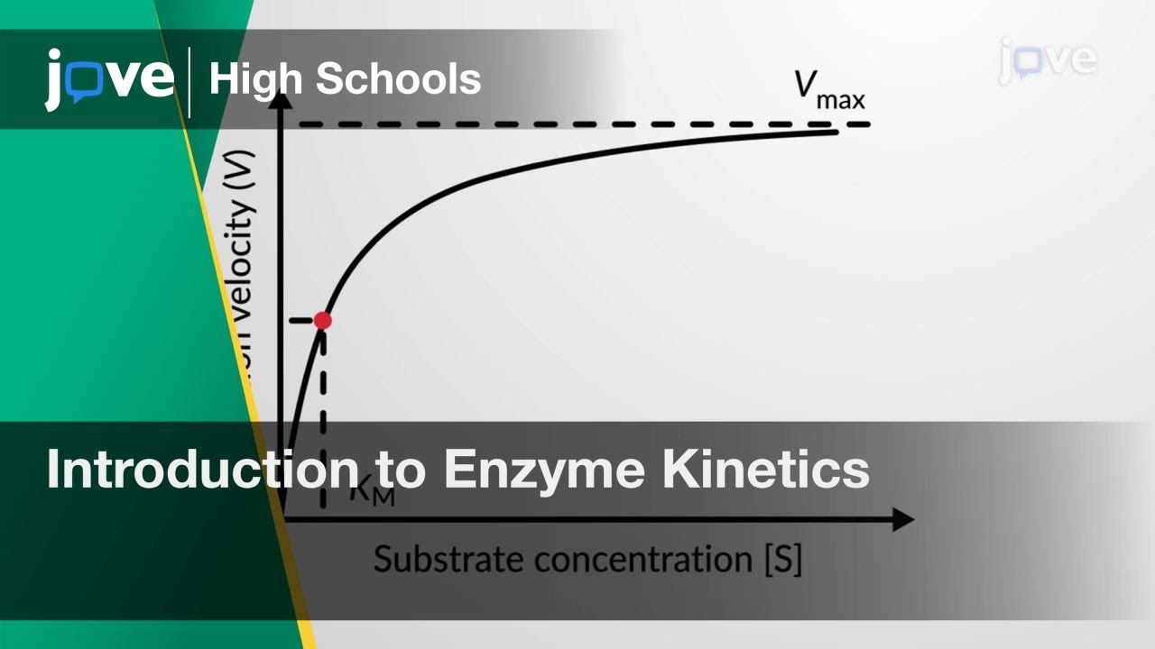 Introduction to Enzyme Kinetics | Cell Bio | Video Textbooks - Preview ...
