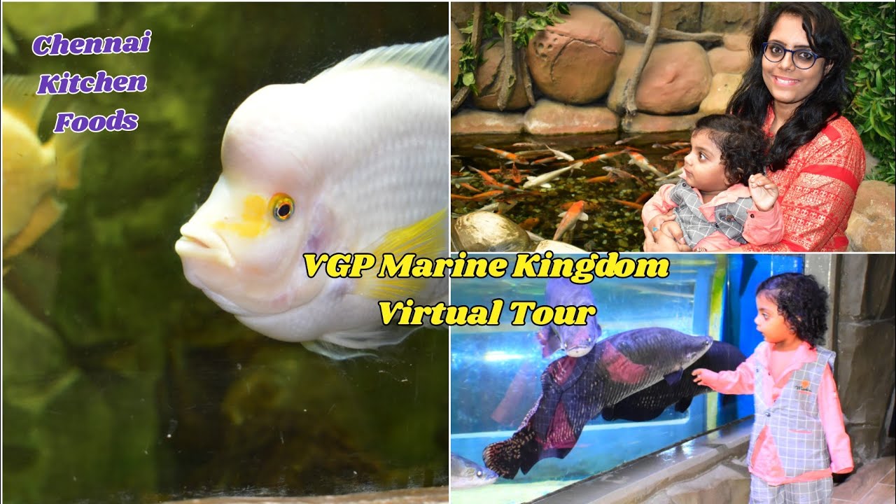 VGP MARINE KINGDOM VIRTUAL TOUR | CHENNAI ECR | CHENNAI KITCHEN FOODS ...
