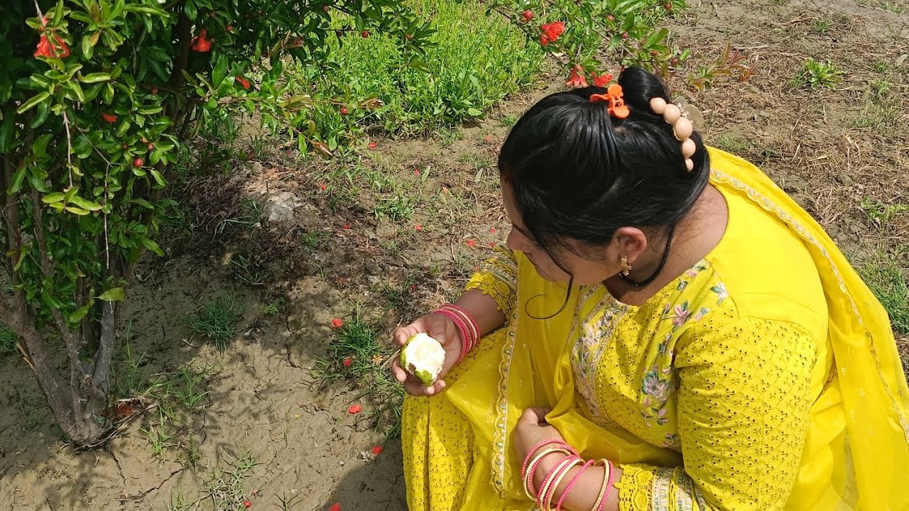 dopher m💁kha or kyo gye??😉🫣vha pr kya mila😱😏jisko dekh kr gav ki ...