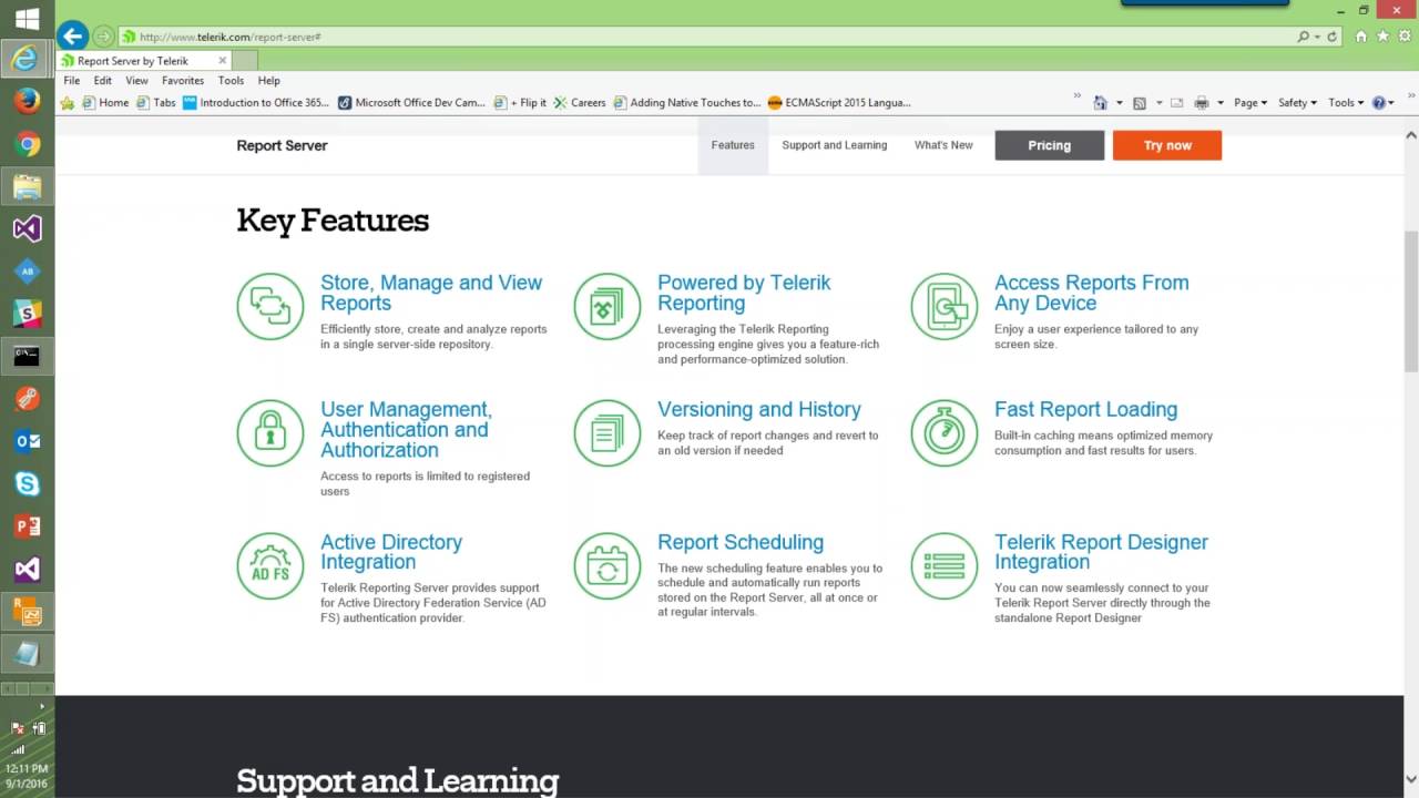Building Versatile Reporting Dashboards with Telerik Reporting Server ...