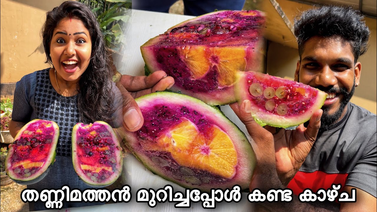 തണ്ണിമത്തൻ മുറിച്ചപ്പോൾ കണ്ട കാഴ്ച ശരിക്കും ഞെട്ടിപ്പോയി | Wayanadan ...