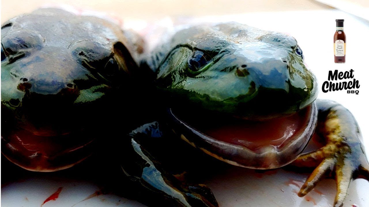 (CATCH CLEAN COOK) PT.2 BULLFROG GOURMET STYLE (SECRET SAUCE TOSS ...