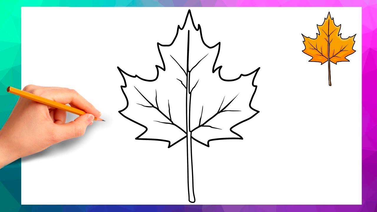 Deseneaza o Frunza de TOAMNA Usor PAS cu PAS 🍁 How to Draw Autumn Maple ...