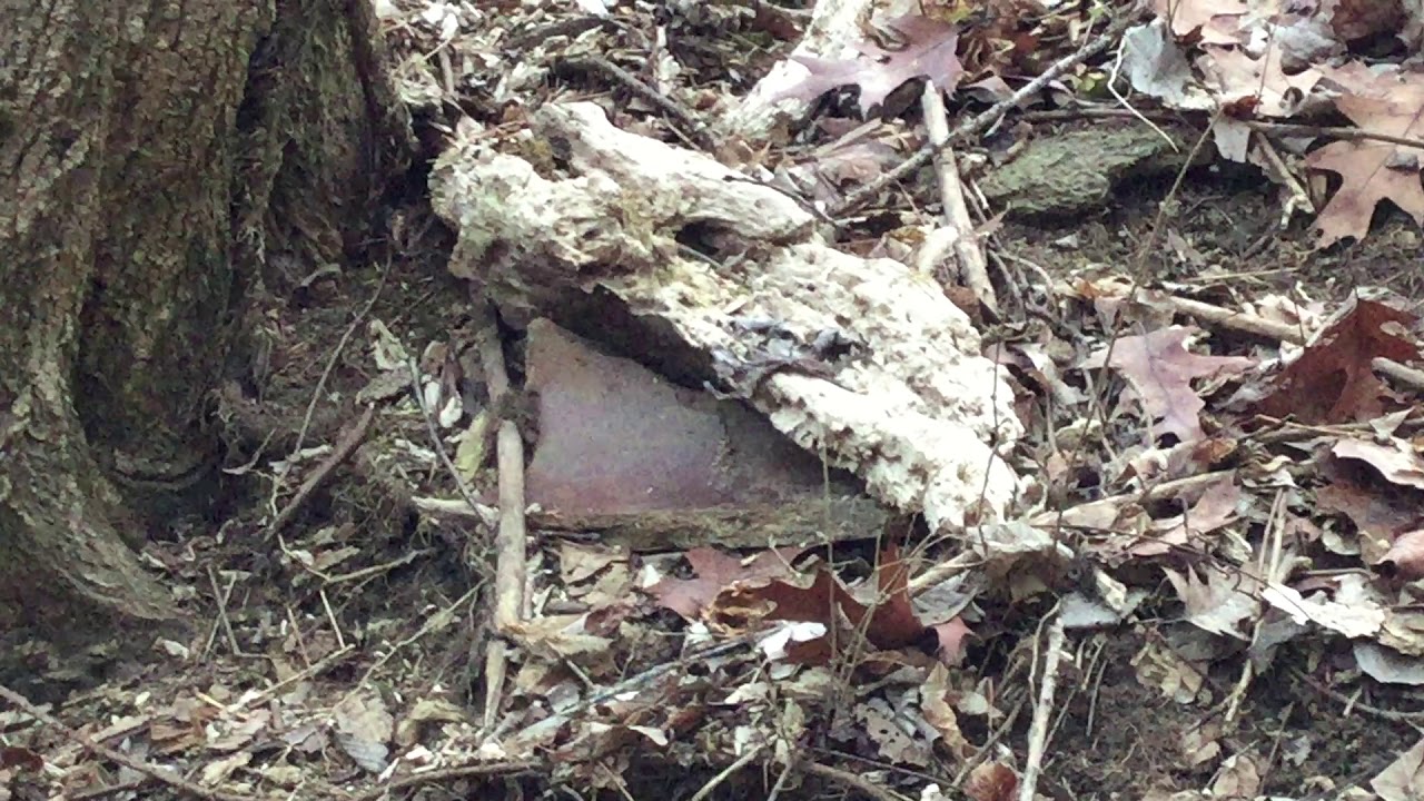 Weathering, Erosion, and Deposition evidence hike - YouTube