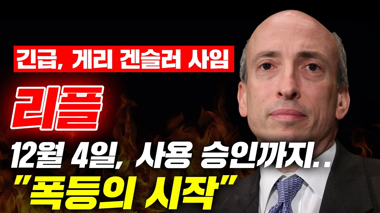 긴급 게리 겐슬러 사임 리플 12월 4일 사용 승인까지 폭등의 시작 리플 리플전망 리플코인 Youtube