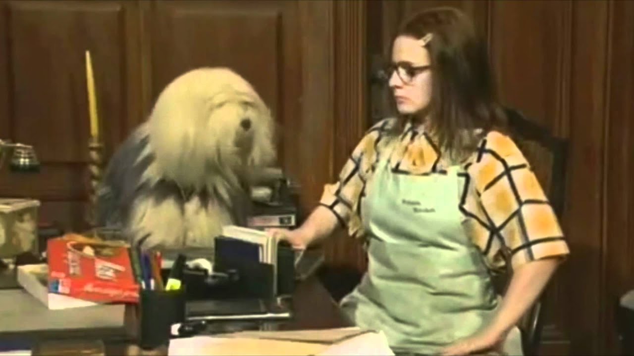 Samson en Gert ~ Gert is Samson kwijt - YouTube