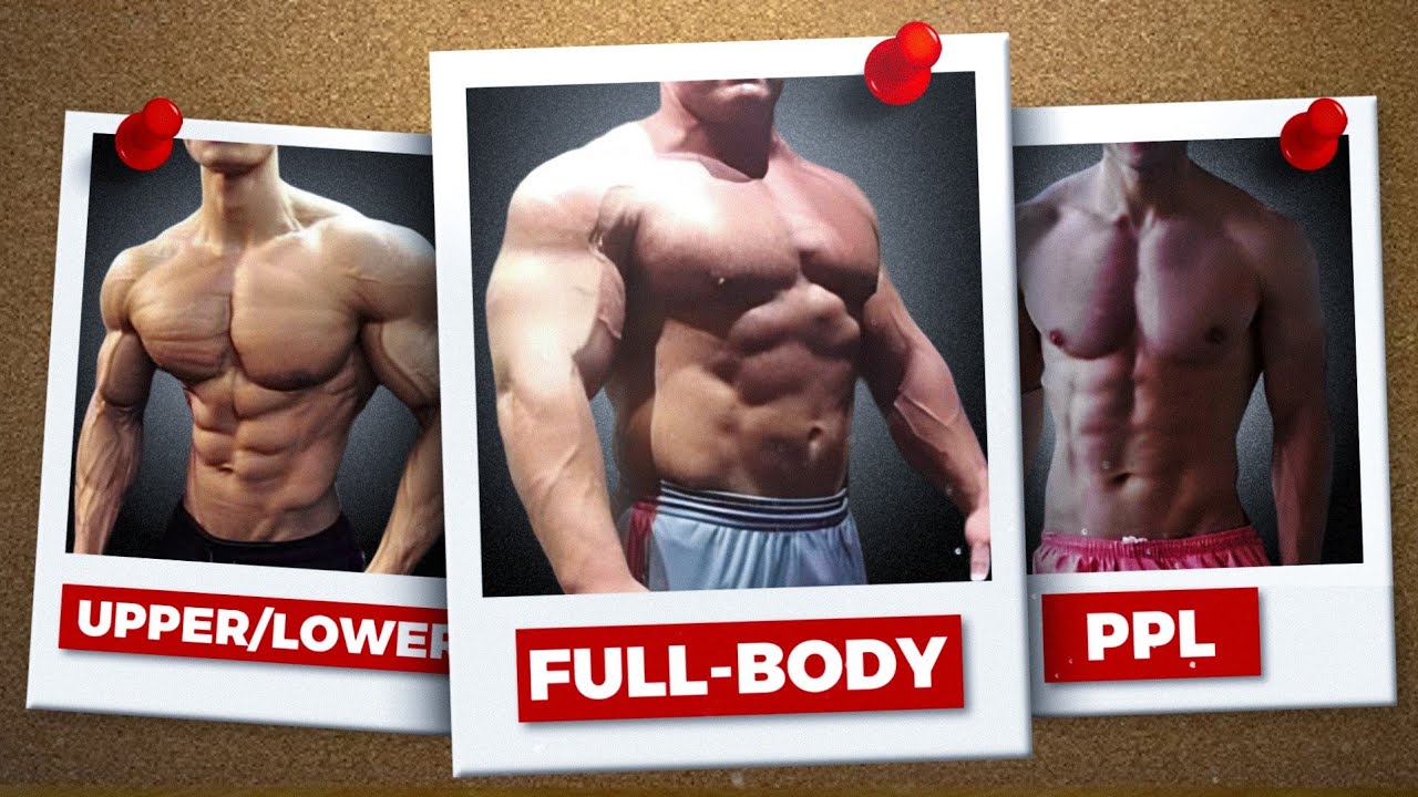 Como Montar seu Treino: Full-Body, Upper Lower e PPL | Exemplos de ...