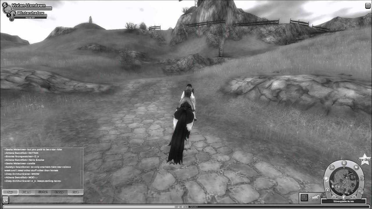 New SSO Tinker Horses - YouTube