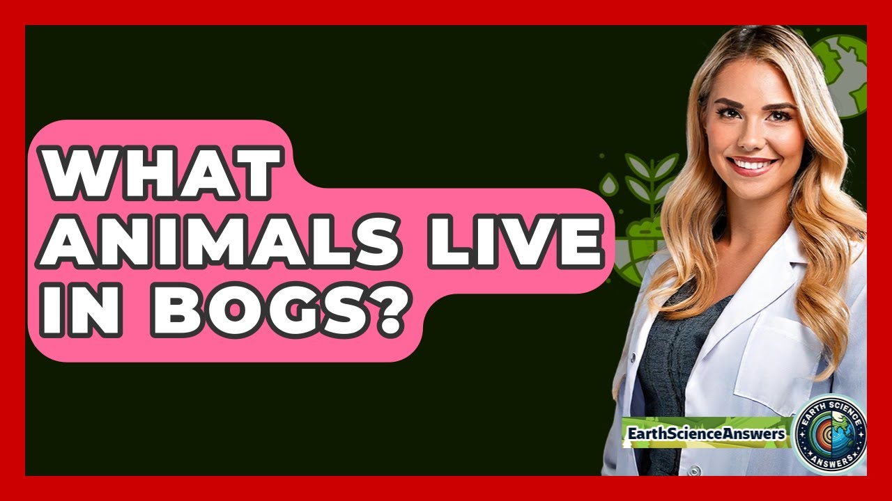 What Animals Live In Bogs? - Earth Science Answers - YouTube