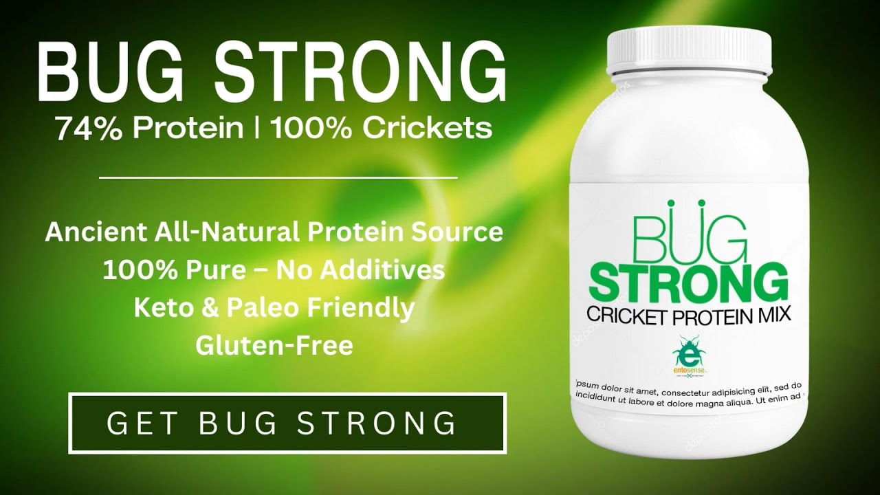 𝗕𝗨𝗚 𝗦𝗧𝗥𝗢𝗡𝗚 𝗣𝗥𝗢𝗧𝗘𝗜𝗡 𝗣𝗢𝗪𝗗𝗘𝗥 - Ancient All-Natural Protein - YouTube