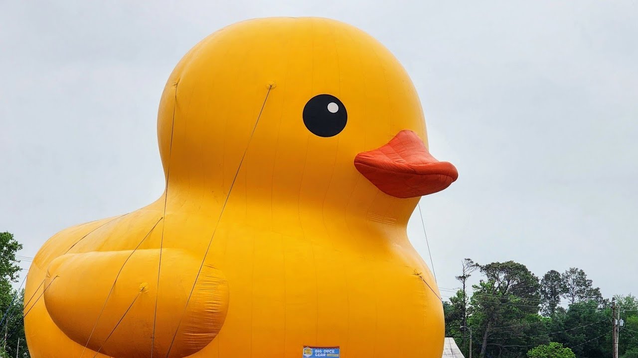 Saturday Crochet Chat * Q&A * World's Largest Rubber Duck * Taylor ...