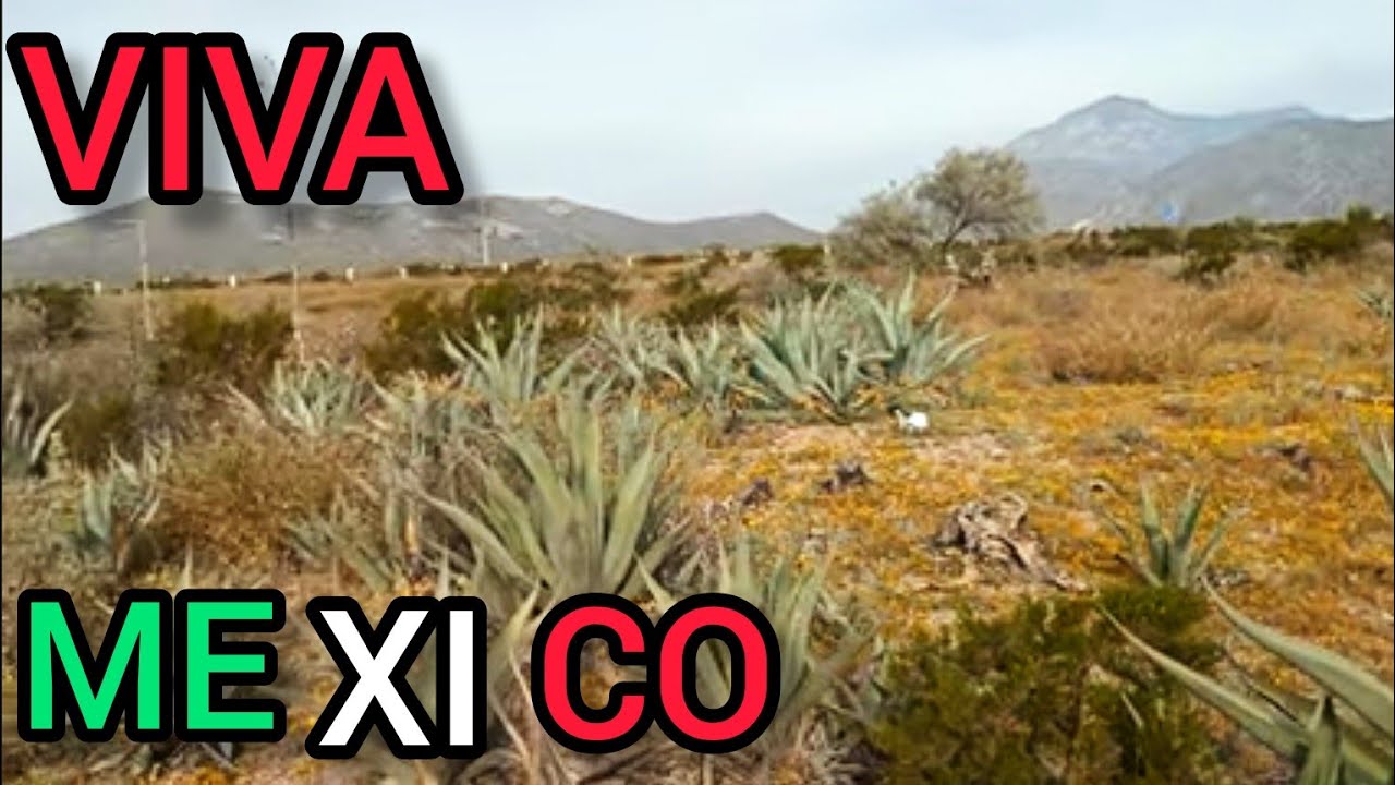 ENCONTRAMOS LUGAR MUY NATURAL CON FLORA MUY MEXICANA EN LERDO DURANGO ...