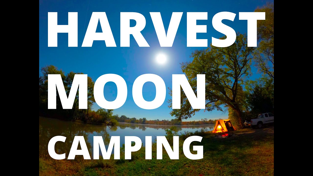 Harvest Moon Camp, Fish and Cook (4K) #fallcamping - YouTube