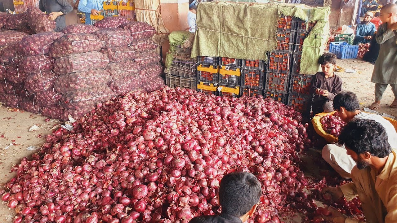 Fraud in Irani Onion | Taftan Border and Quetta Mandi | Juma k din Pyaz ...