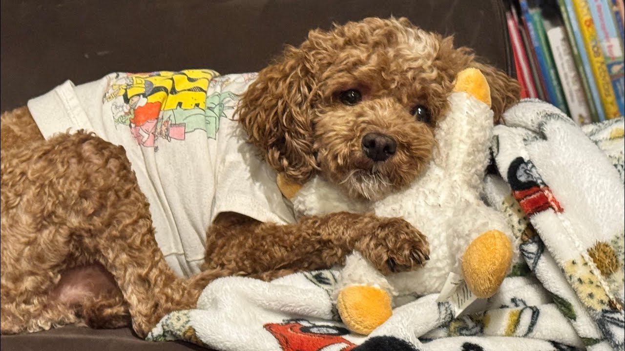 Vendor Wax Chop and Chat - May 2025 - YouTube