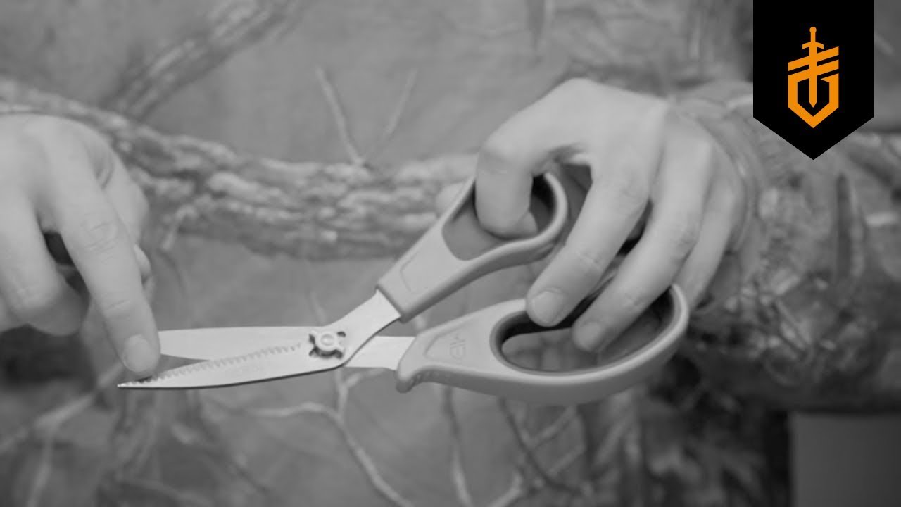 Gerber Hunting Vital Take a part Shears - YouTube