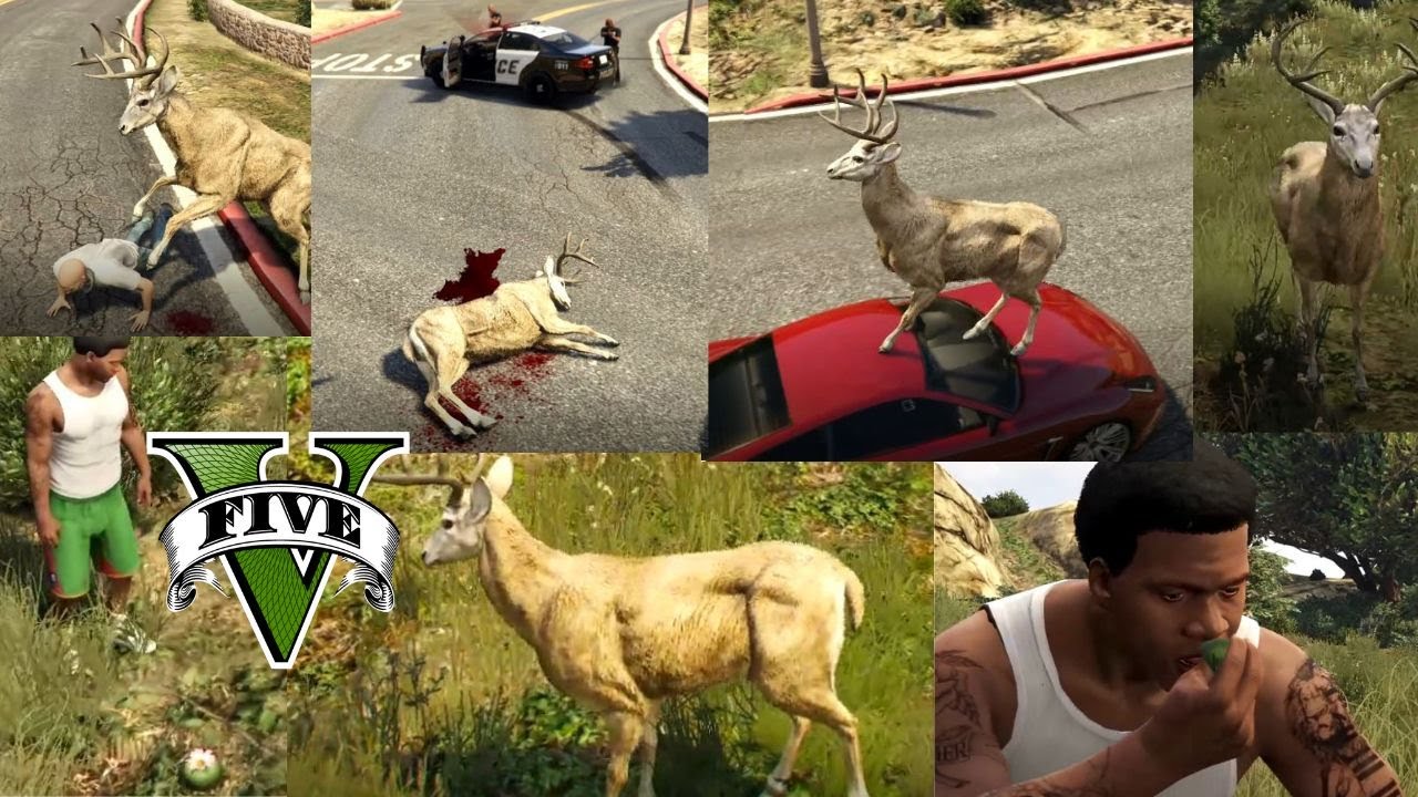 GTA V How To Transform to a Deer Peyote Plant Location Gta5 - YouTube