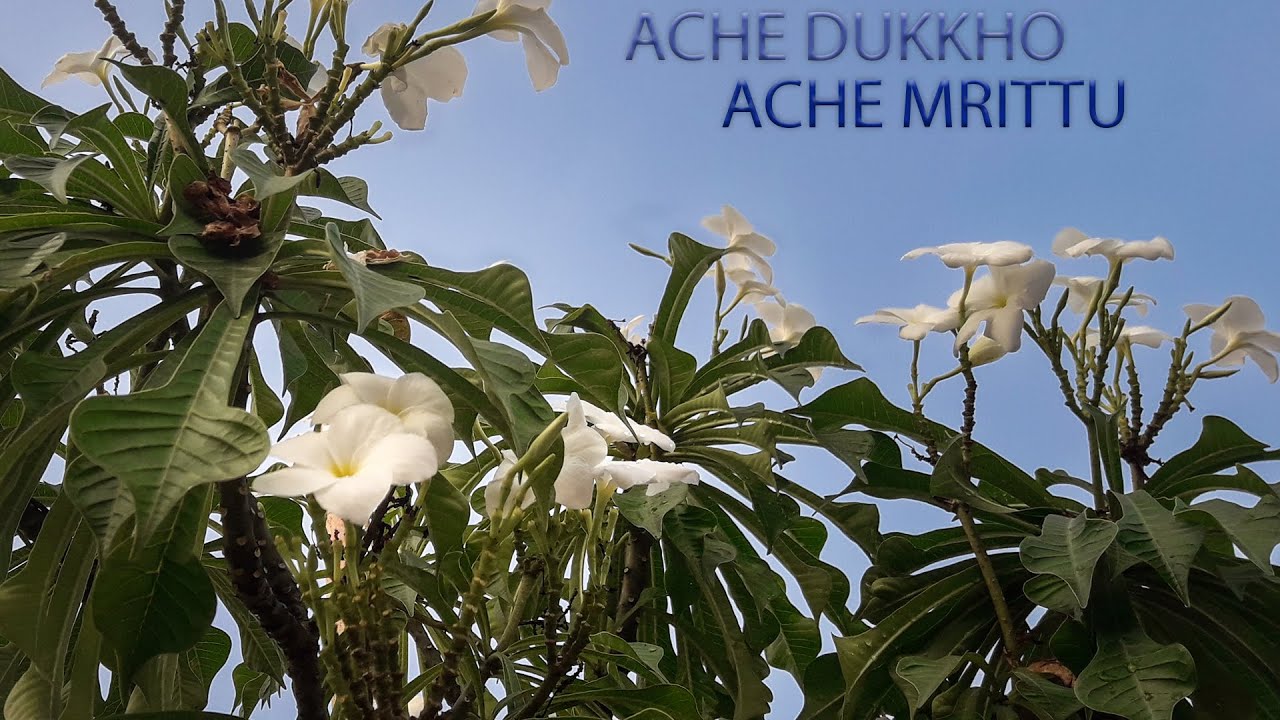ACHE DUKKHO ACHE MRITTU.... - YouTube