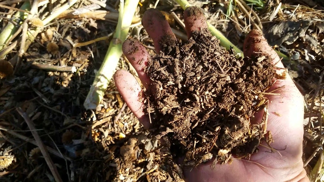 Chop and Drop gardening - YouTube