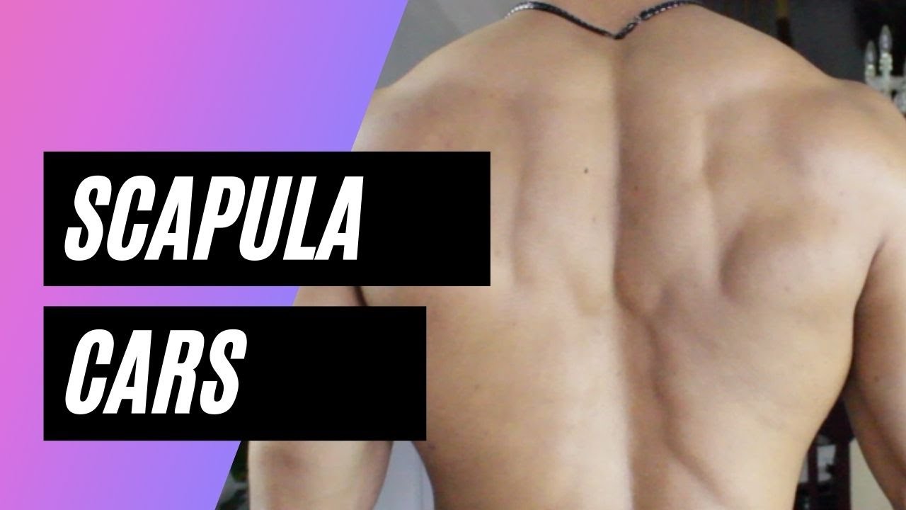 Scapula CARs - Improve Your Shoulder Blade Function - YouTube