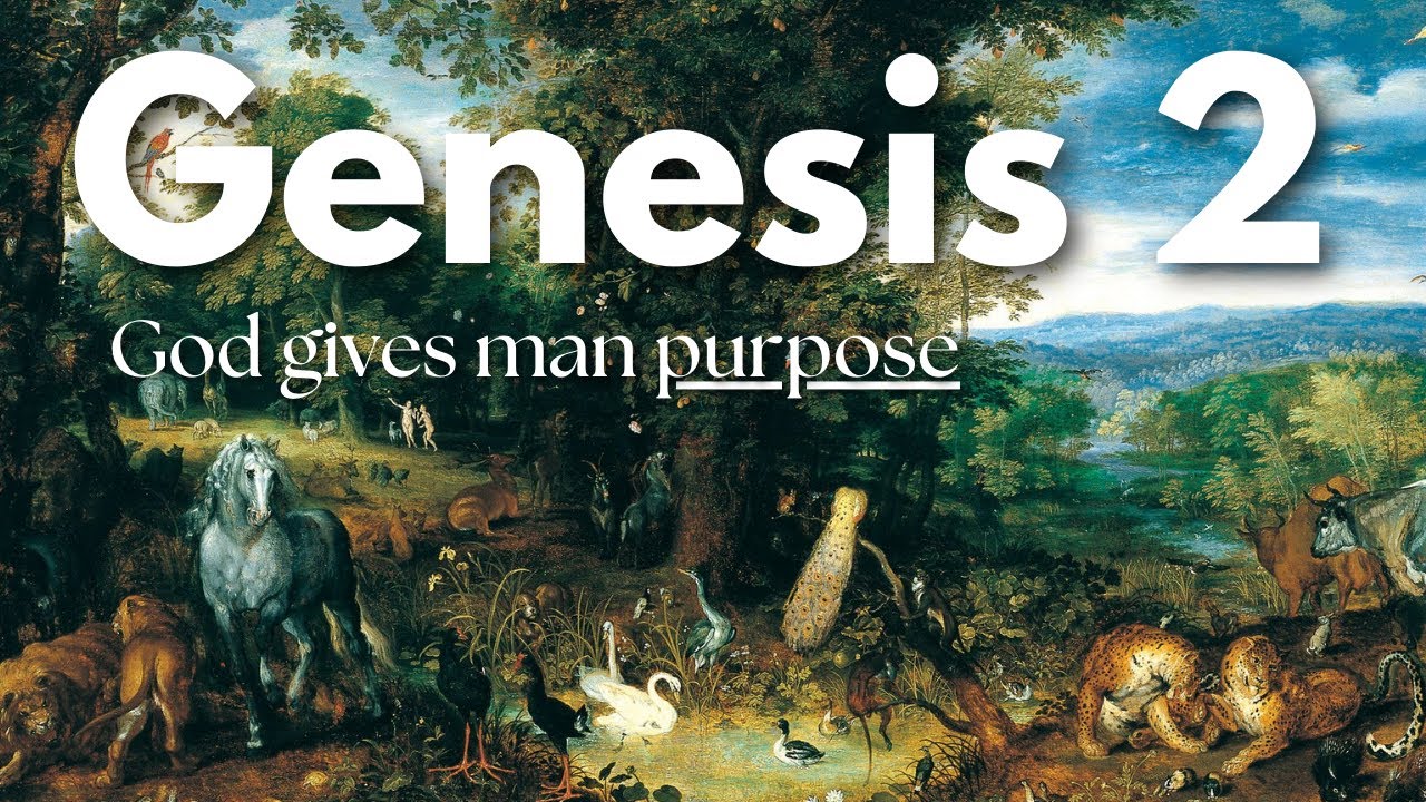 Genesis 2 - God Gives Man Purpose | Bible Study - YouTube