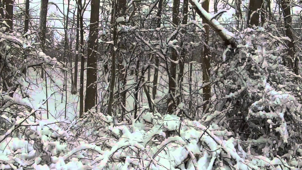 Trudging Through The Snow - YouTube