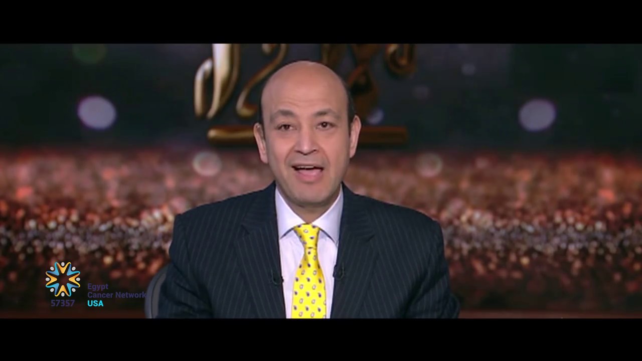 Amr adib Egypt 2017 ECN - YouTube