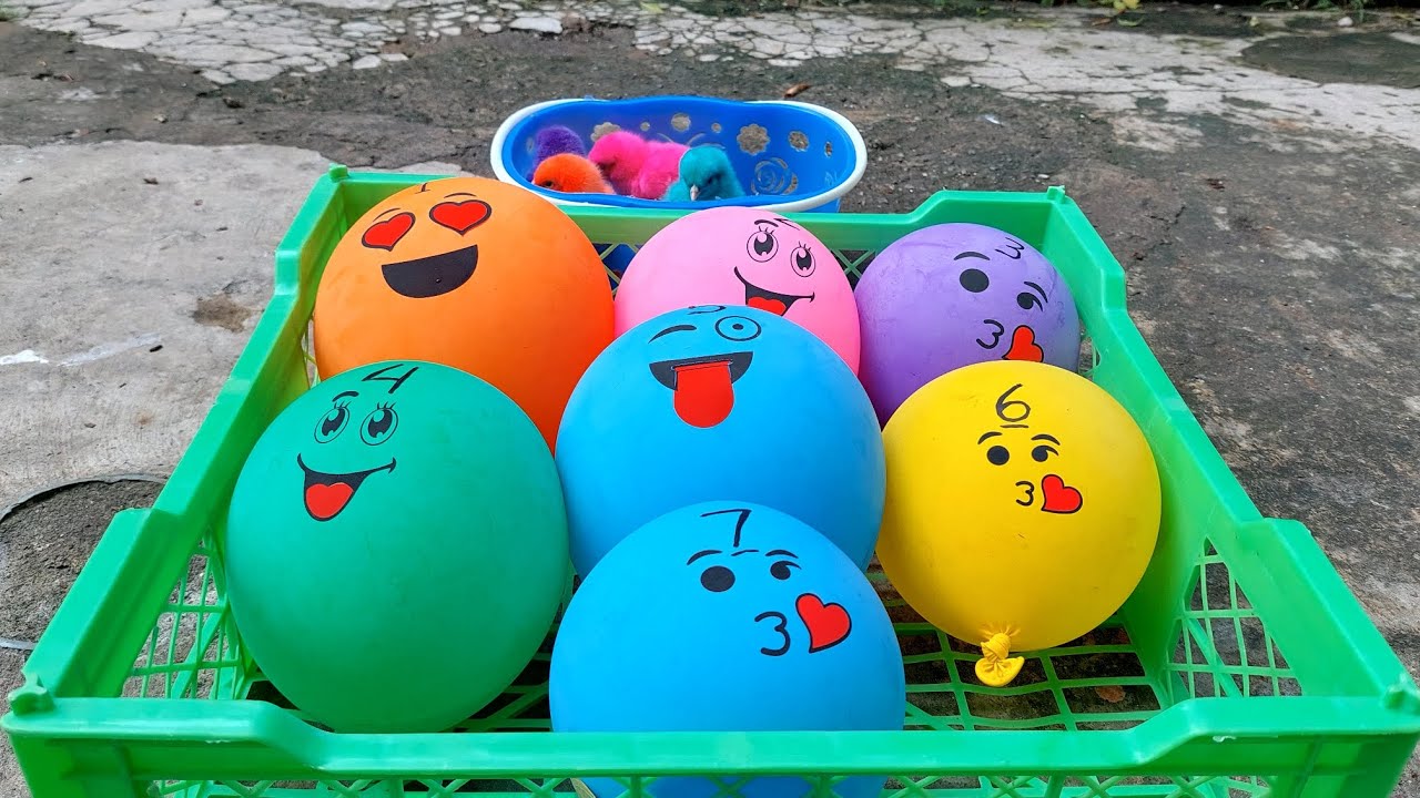 Mencari Balloon Rainbow, Balon Warna Warni, Balon Karakter, Balon Air ...