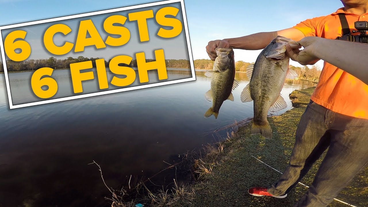 Pond Fishing - 6 Casts... 6 Fish... - YouTube
