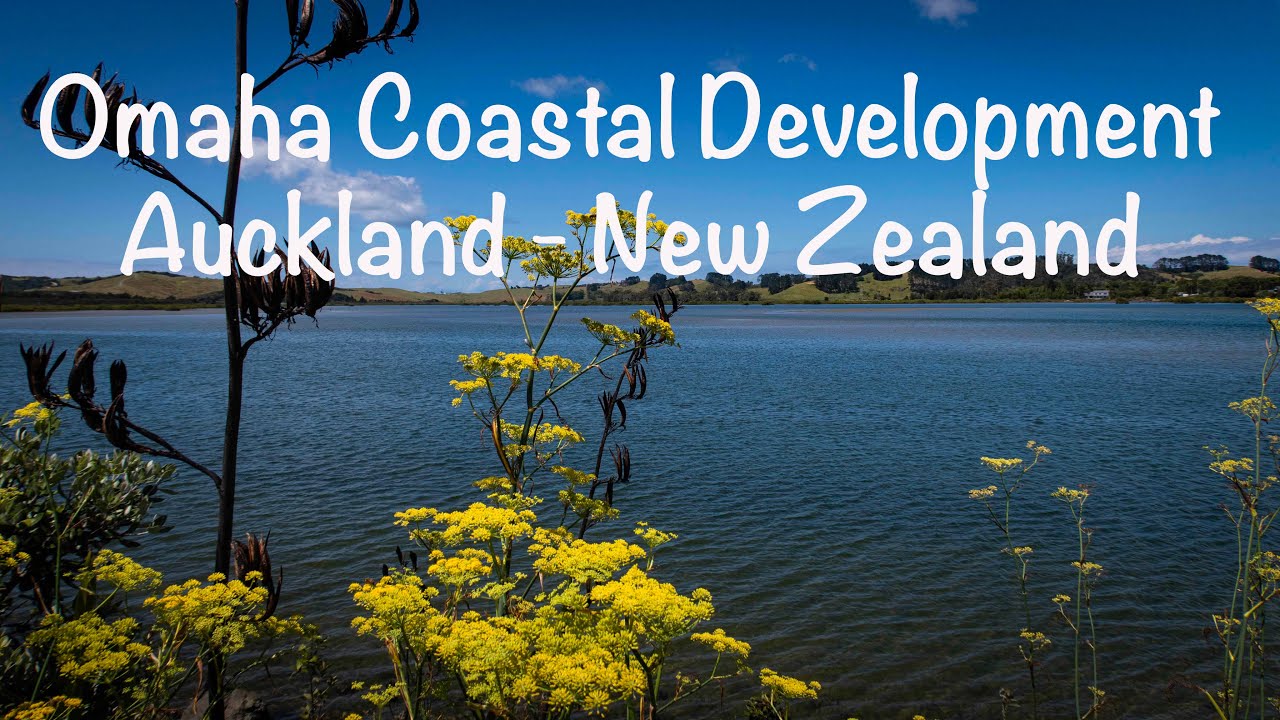 Omaha Auckland New Zealand - YouTube
