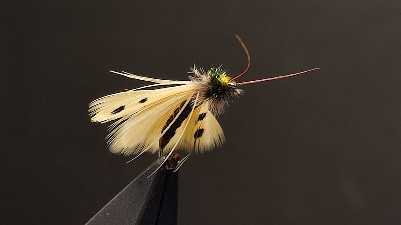 Fly Tying - Dry Fly Moth Pattern - YouTube