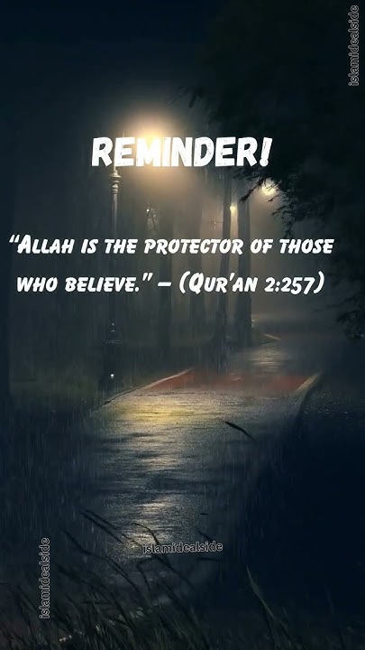 Daily Islamic Reminder – Uplift Your Heart - YouTube