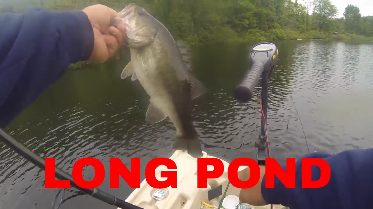 Long Pond Fishing for Largemouth and Pickerel Part #3 - YouTube