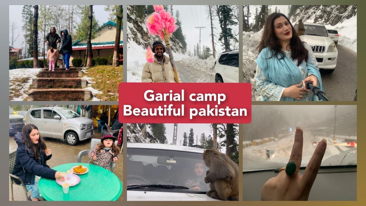 A beautiful Morning in Gharial camp!This video is specially For Married ...