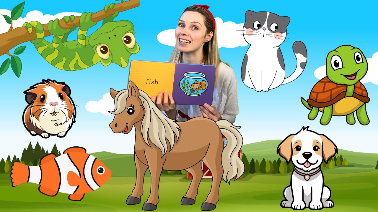 Let‘s Learn Pets | Educational Toddler Video - YouTube