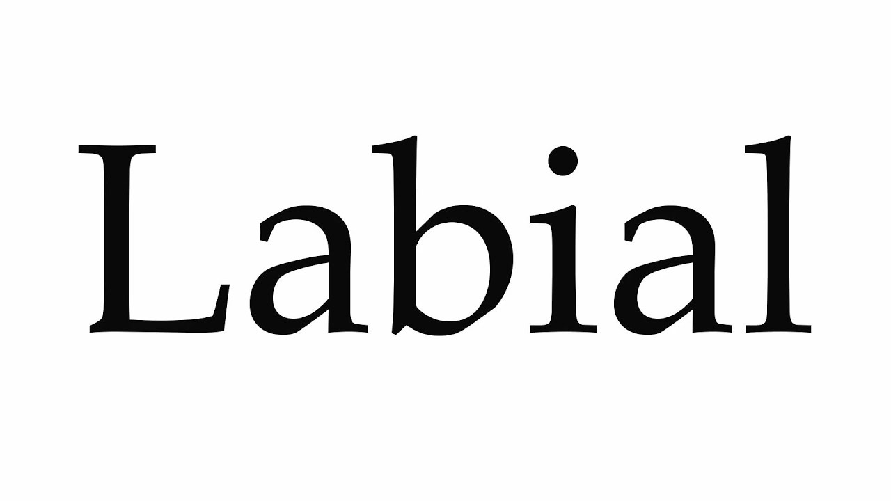 How to Pronounce Labial - YouTube