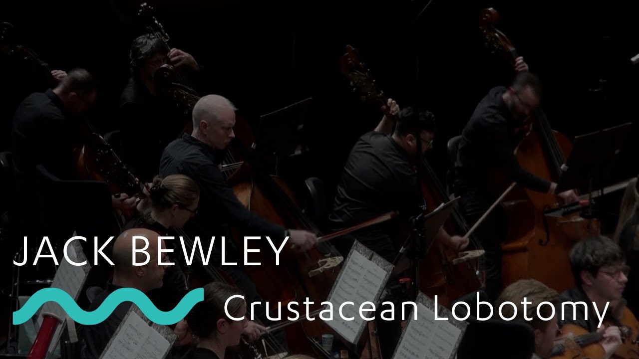 JACK BEWLEY: Crustacean Lobotomy - YouTube