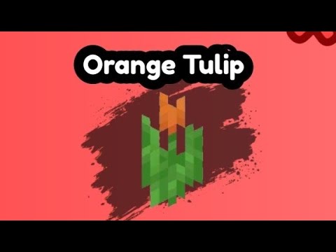 Guide How To Get ORANGE TULIP On Roblox Find The Plants! - YouTube