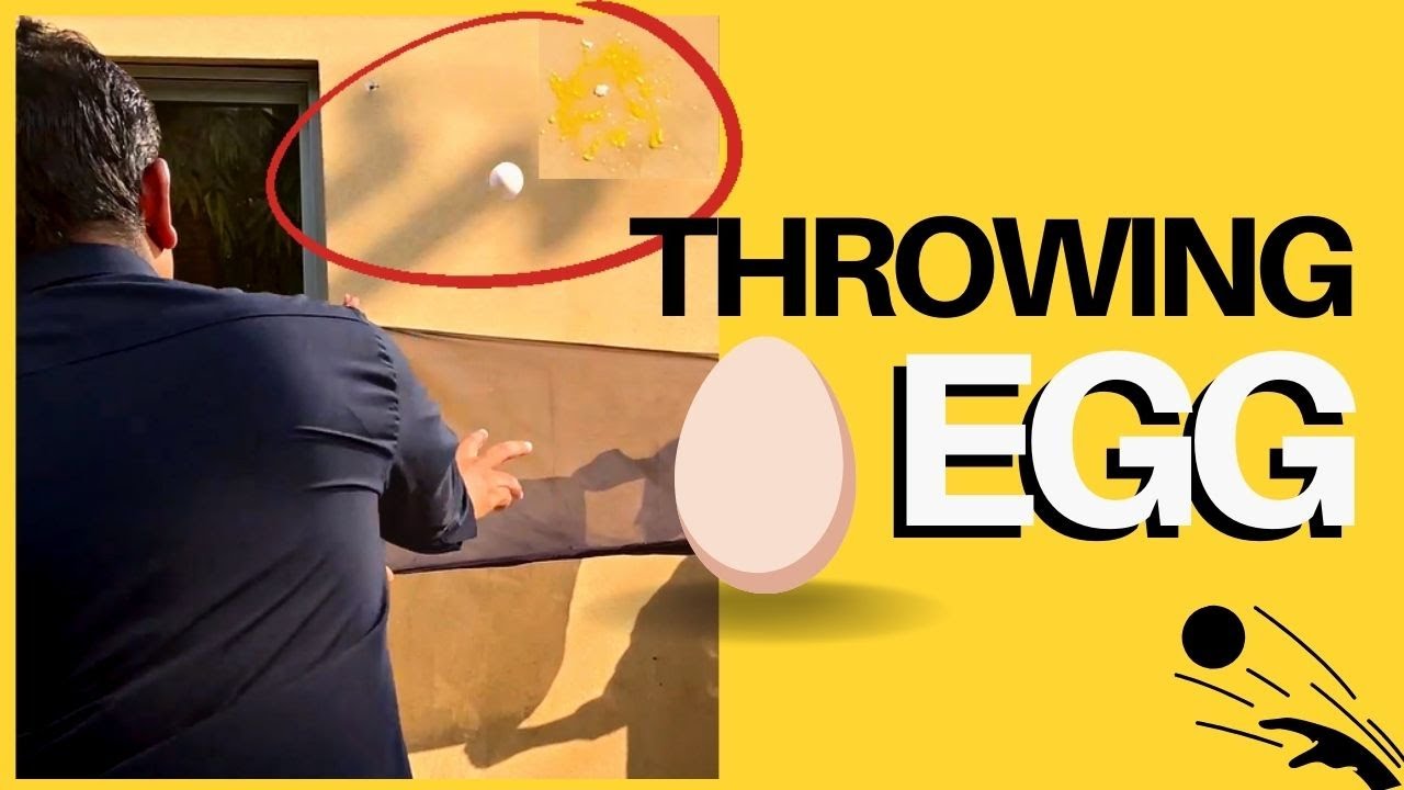 Throwing an EGG on Wall | Change in Momentum | SolutionInn - YouTube
