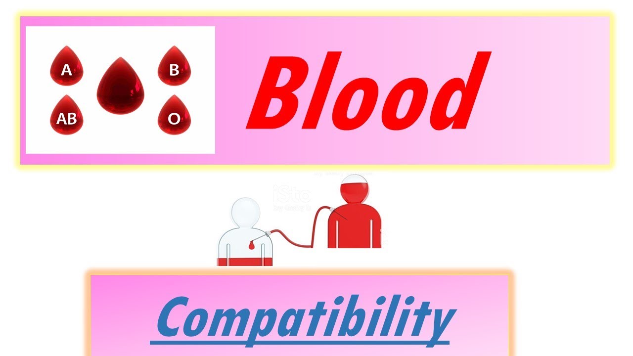 Blood transfusion why you need to know your blood group type | Science ...