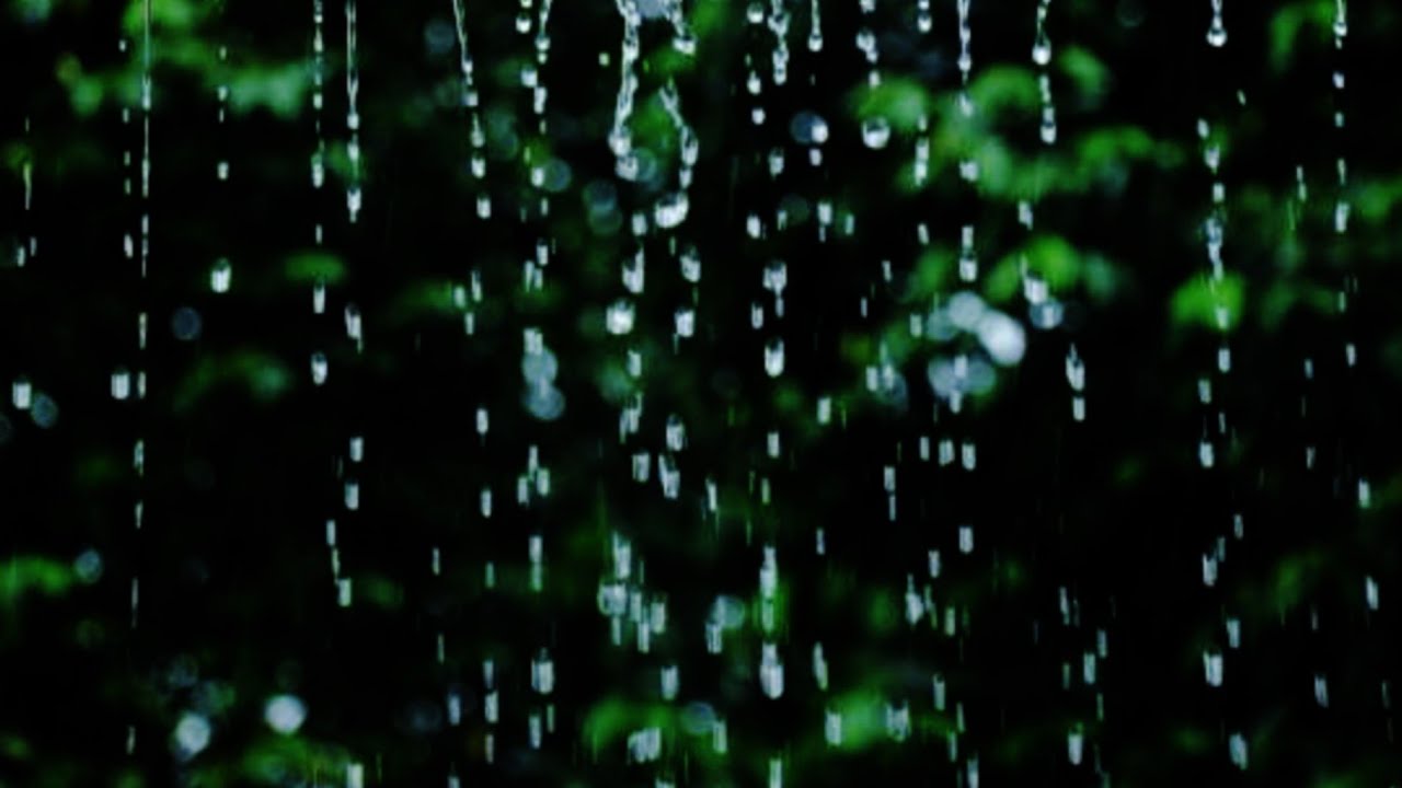 Rain Dream with Thunder Sounds for Sleeping or Studying White Noise ...