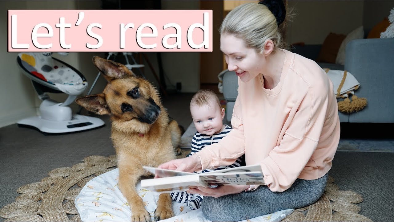 German Shepherd & baby read books together - YouTube